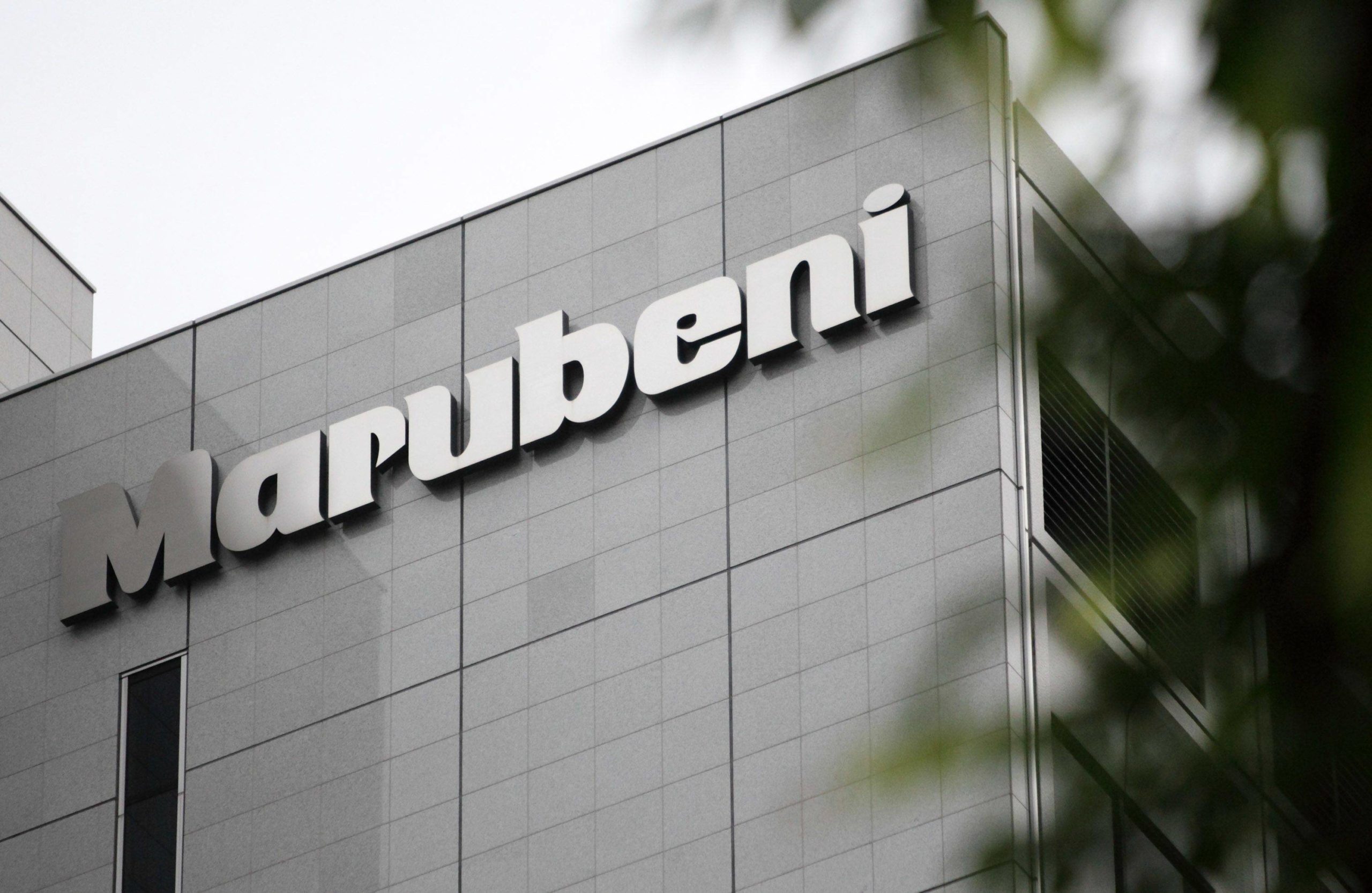 Marubeni backs SA LNG instead of Andrew Forrest project - Venice Energy